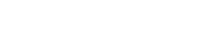The Noramco Group – An integrated North American-based API and Drug ...